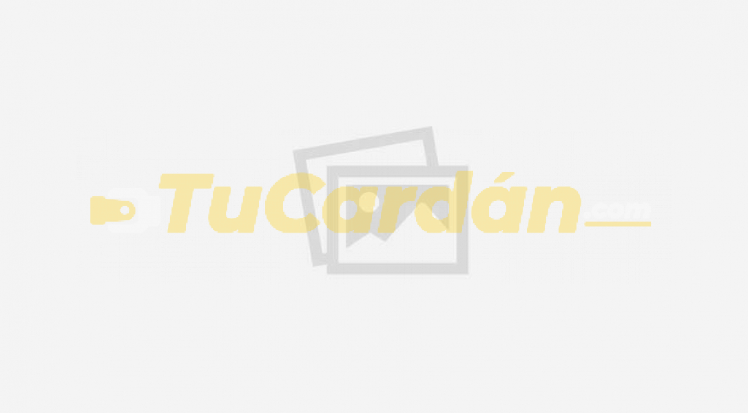 CRUCETA CARDAN FOTON