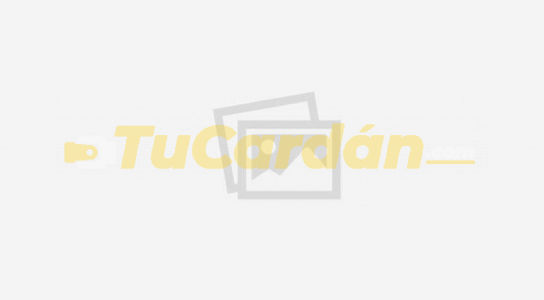 CRUCETA CARDAN FOTON DONGFENG